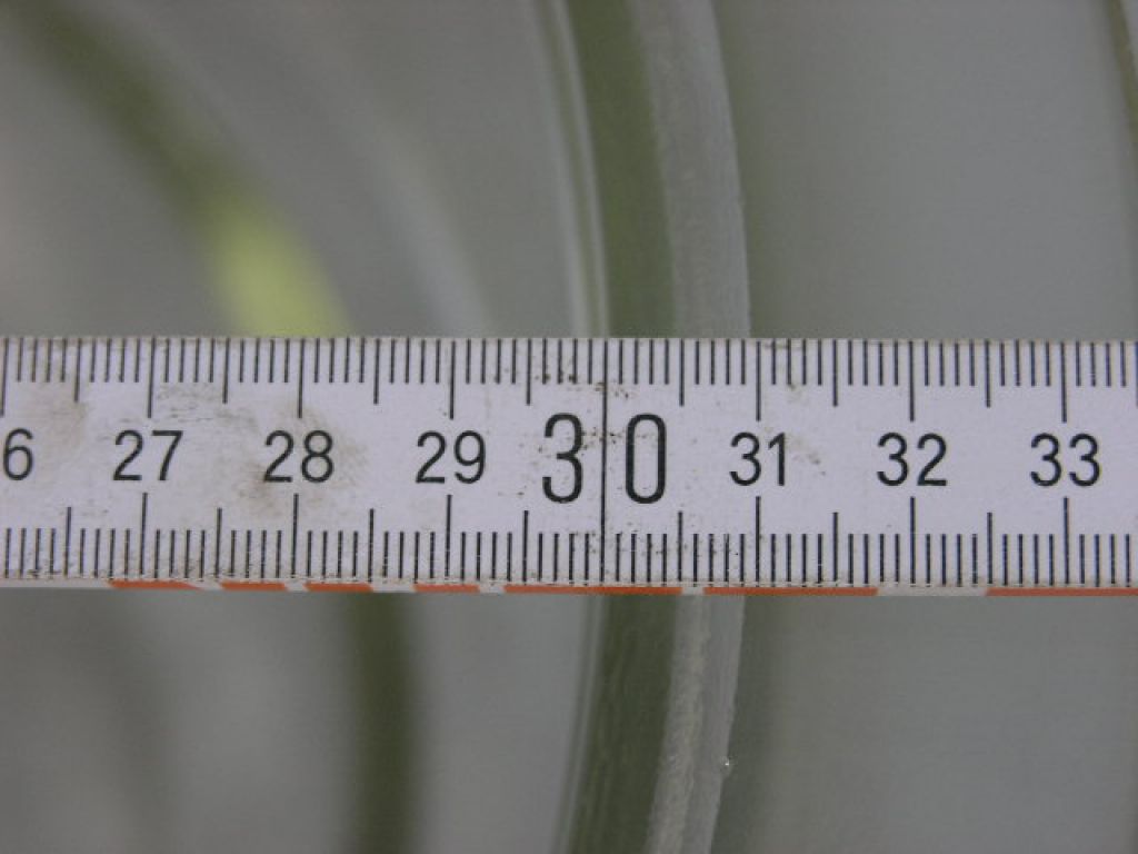 labstuff.eu - Desiccator