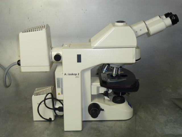 labstuff.eu - Zeiss Axioplan 2 plus with Fluorescence